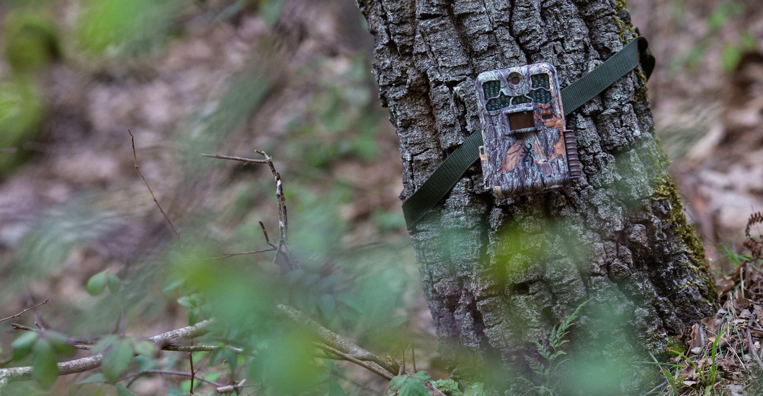 From photo trapping to mist nets