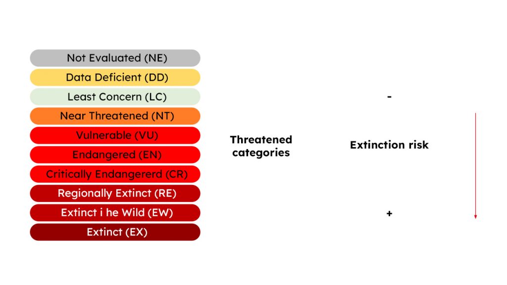 Extinction risk and different levels of threat