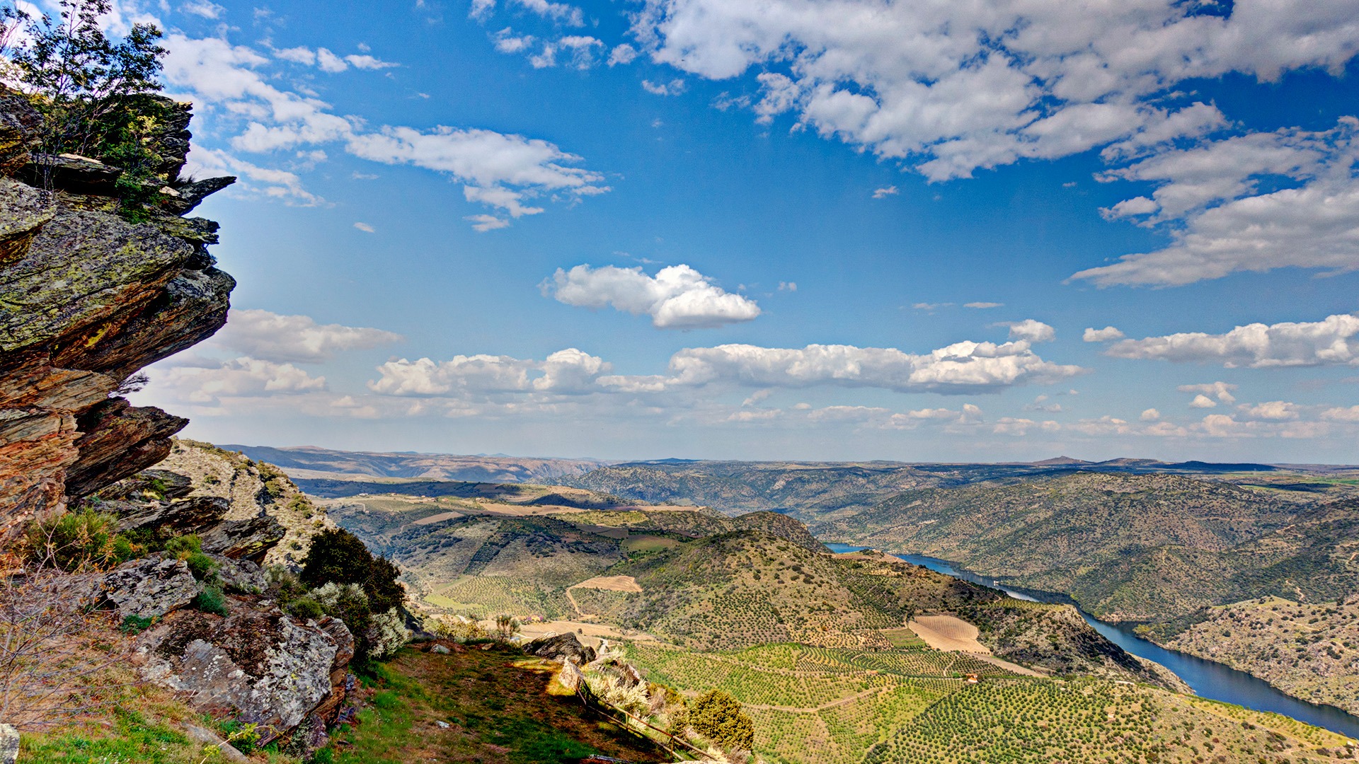 Natural parks: more than preserving, areas to live - Biodiversidade