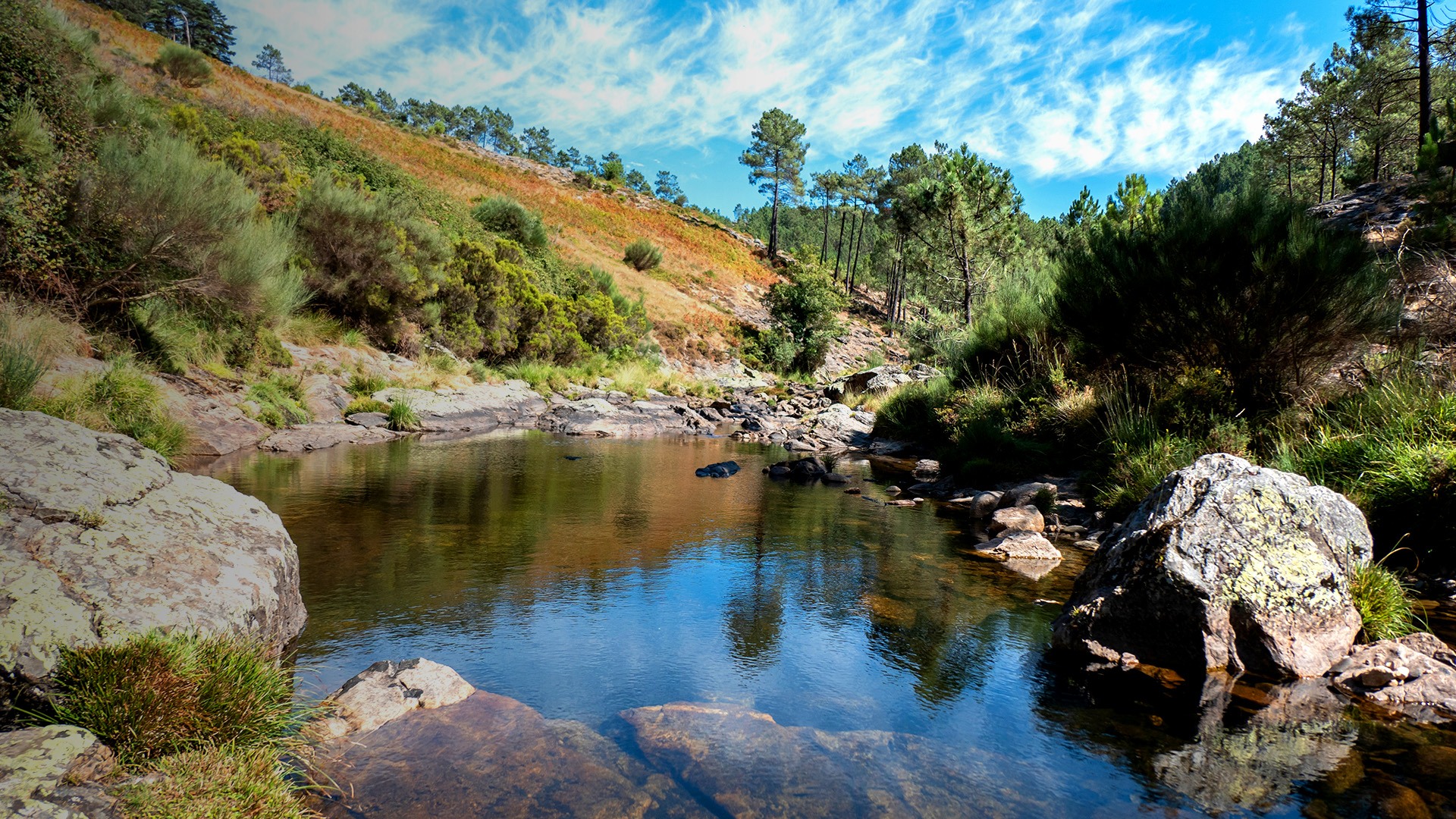A journey through the 14 Portuguese natural parks - Biodiversidade