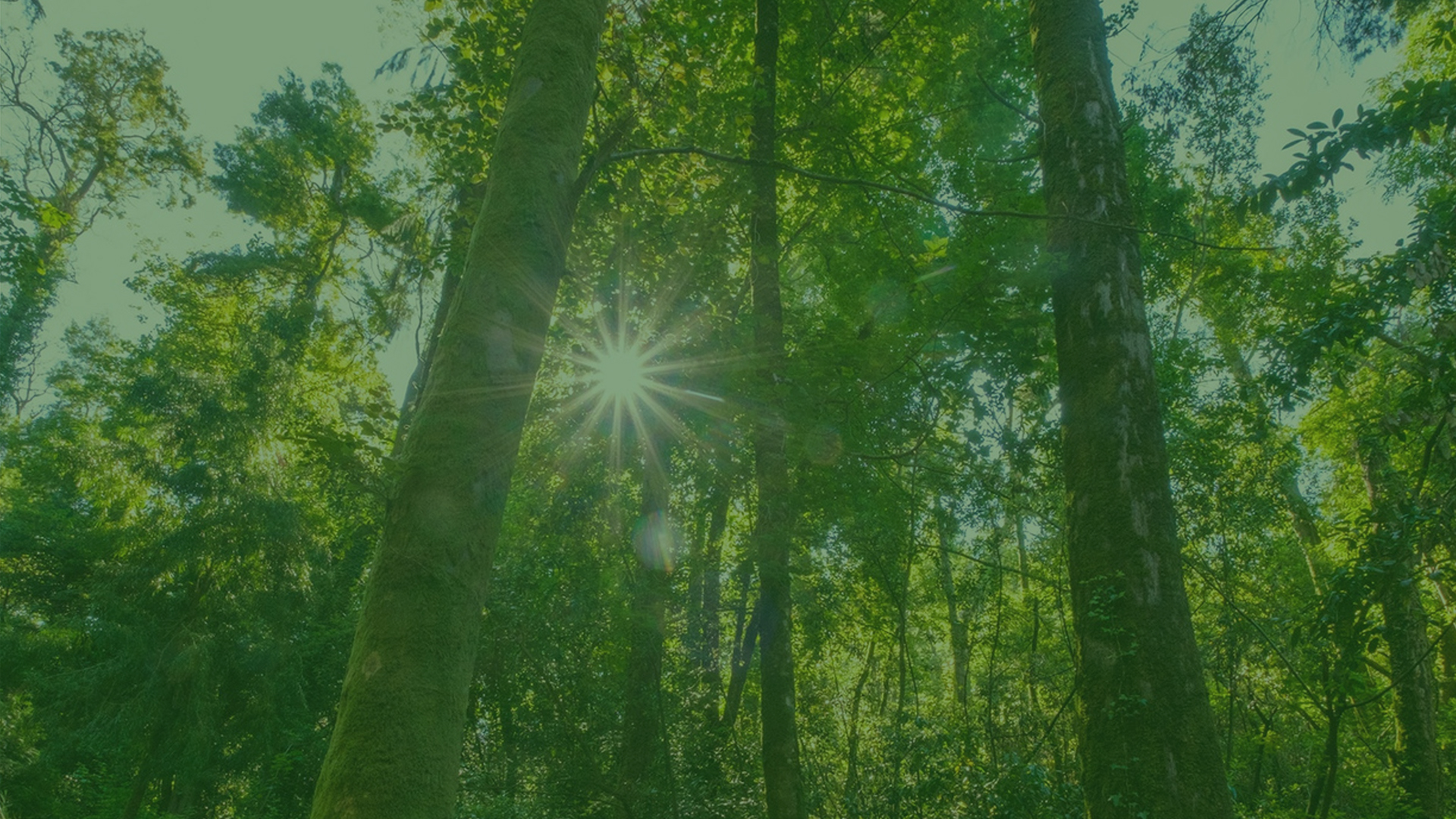 Navigator restated its commitment towards act4nature Portugal - Biodiversidade